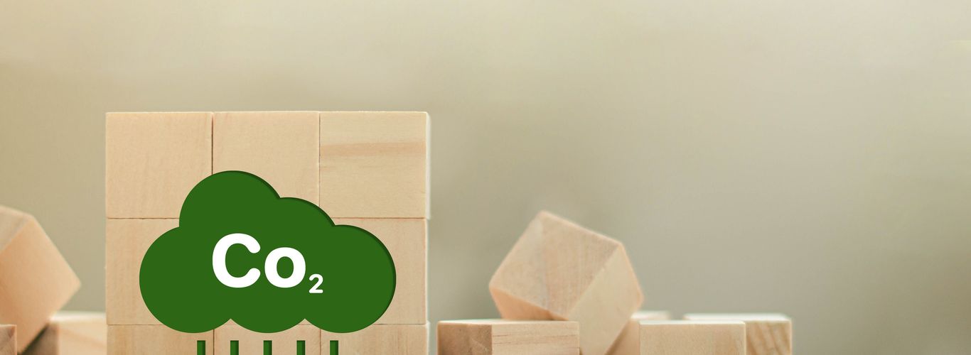 Education for sustainable development | University of South Wales